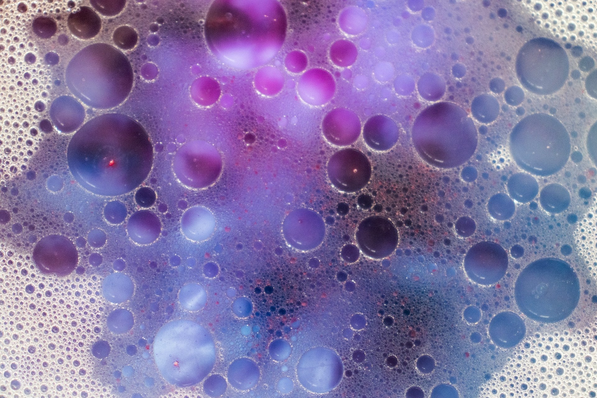 Is Laundry Detergent an Acid or a Base? – FREDDIE